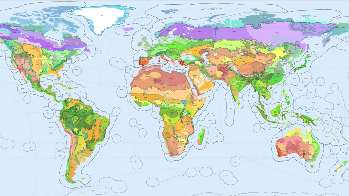 Bioregional Mentor – ARK